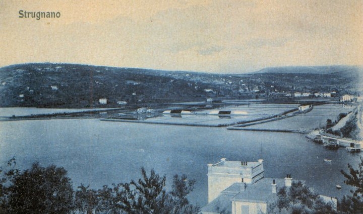 Strunjan peninsula | Krajinski park Strunjan