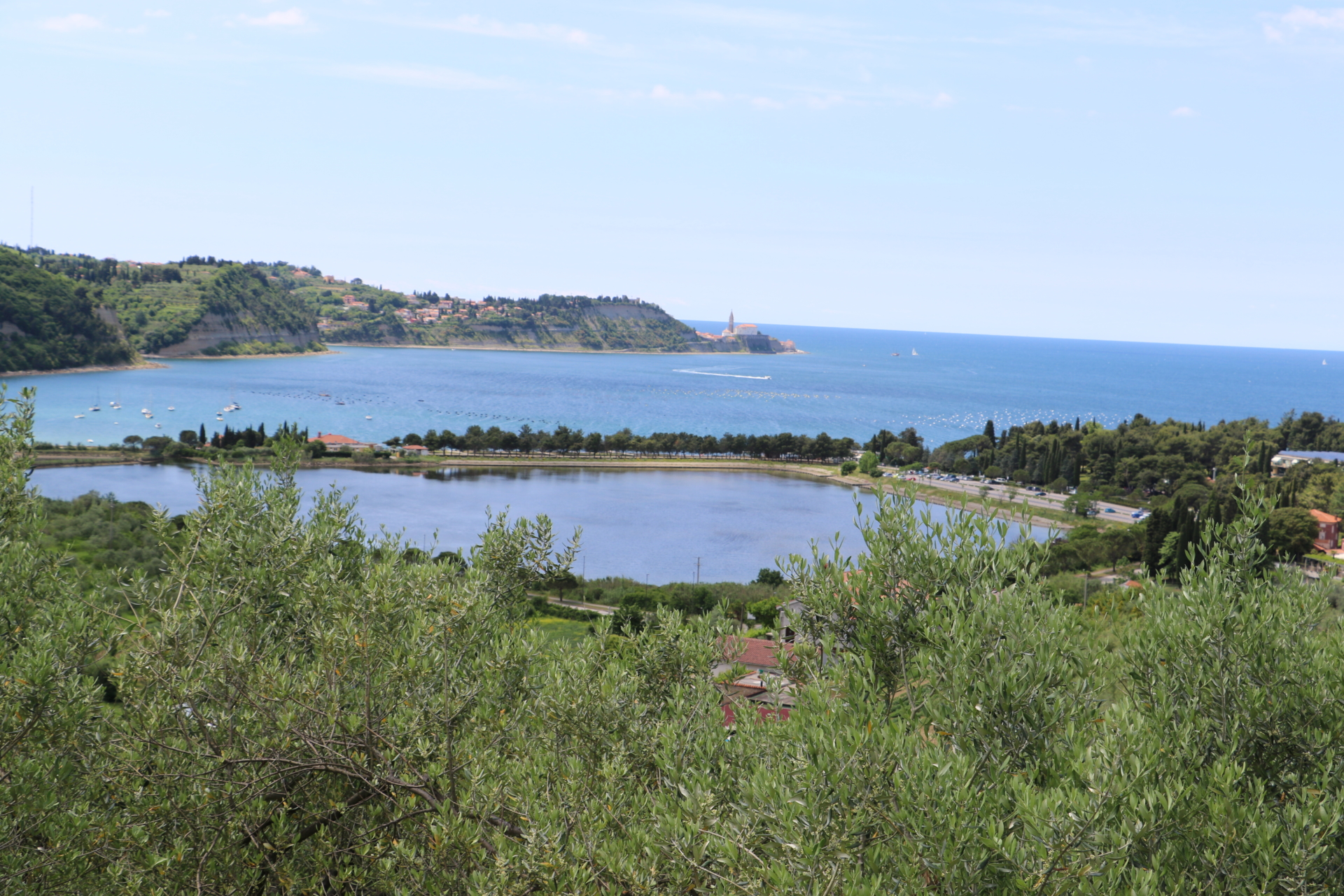 Cars Out! | Krajinski park Strunjan