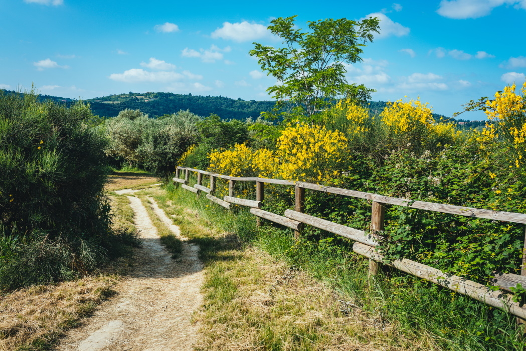 Načrtuj obisk | Krajinski park Strunjan